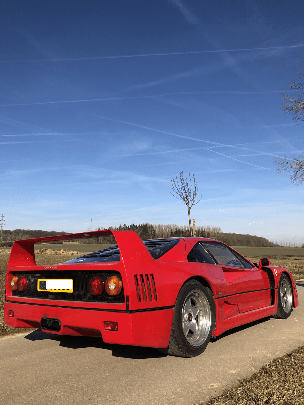 La Ferrari F40 de Blue Turtle