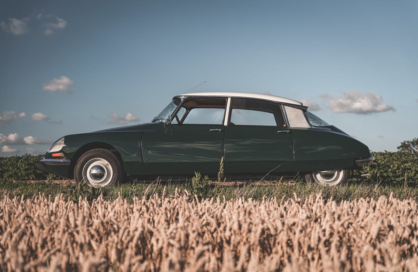 Citroën Traction 7cv : la populaire de la gamme